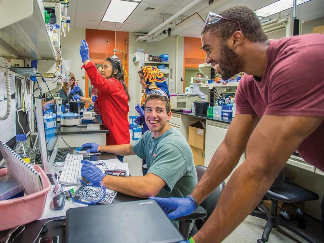 Campus Transformation | LU Facilities